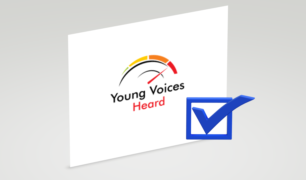 #YouthVoice in organisations: 10 steps to good practice - YOUNG VOICES ...